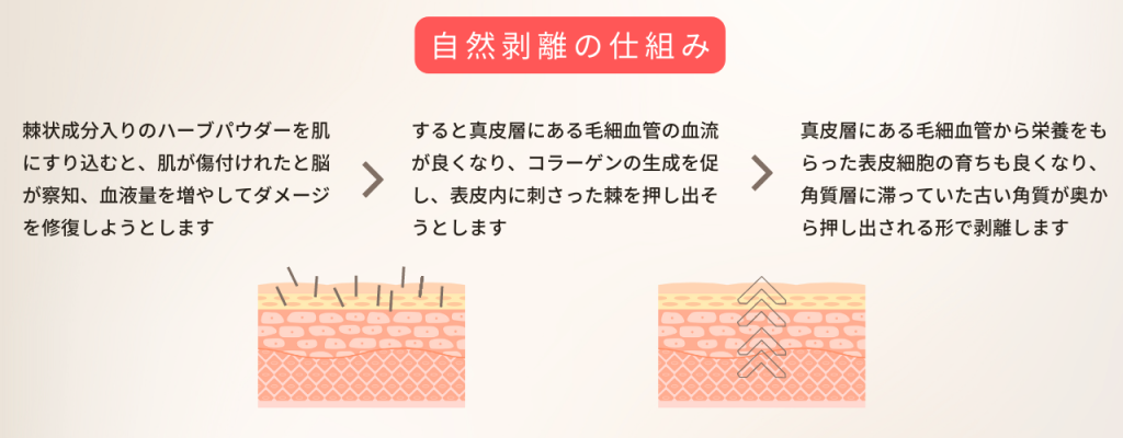 ハーブピーリング | 糸除毛専門店ITOCO｜中目黒駅徒歩2分｜シルク糸除毛・毛穴洗浄